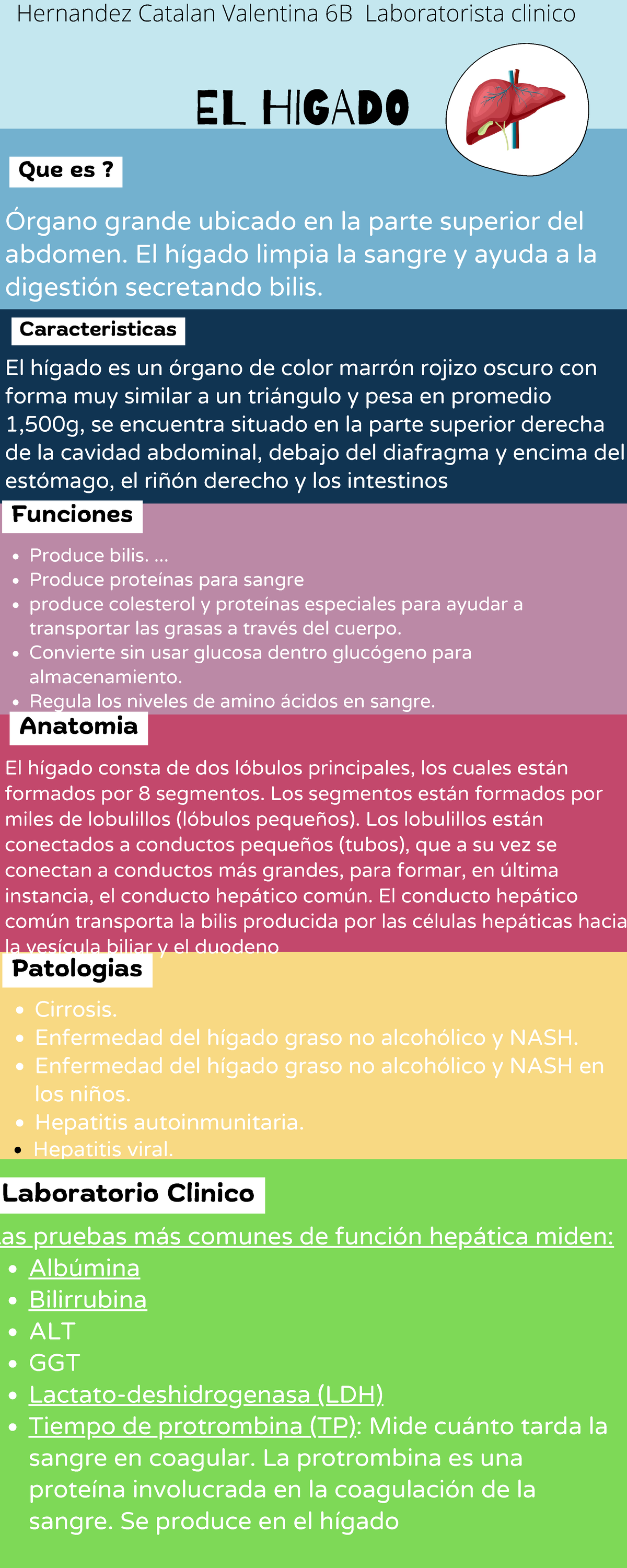 Infografía de higado - EL HIGADO Que es? Órgano grande ubicado en la ...