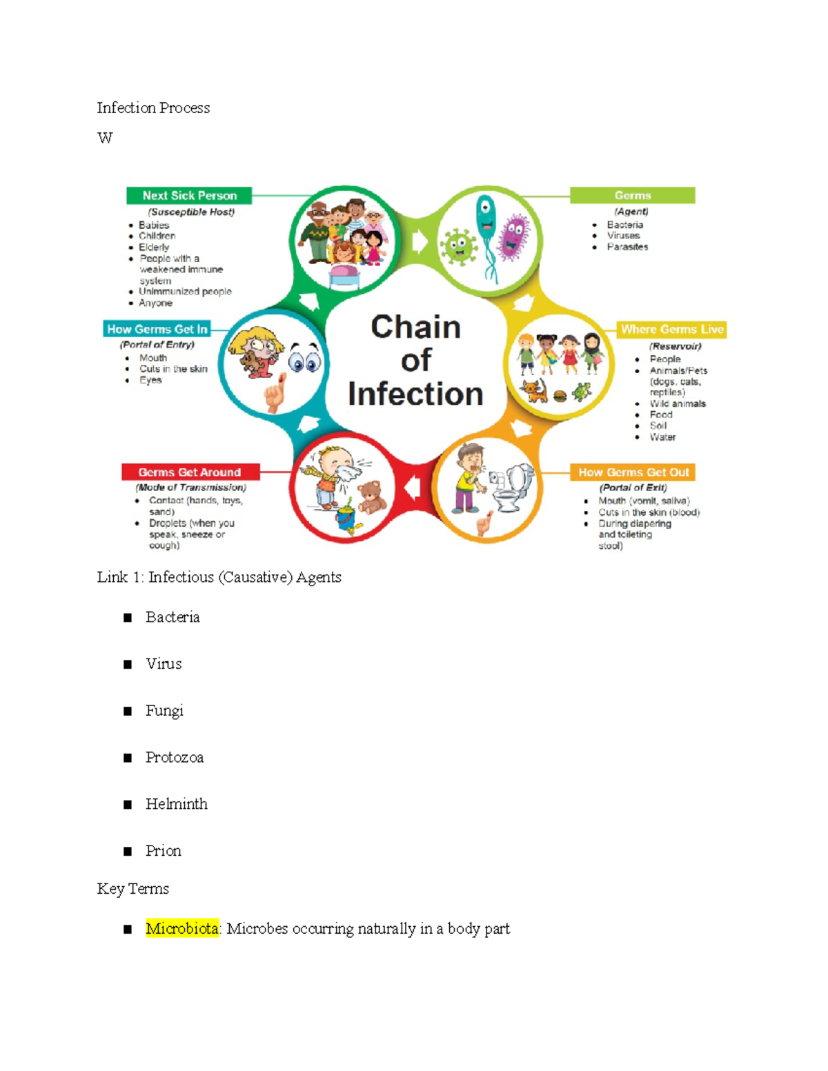 Chapter 8 Medsurge - Infection Process W Link 1: Infectious (Causative ...