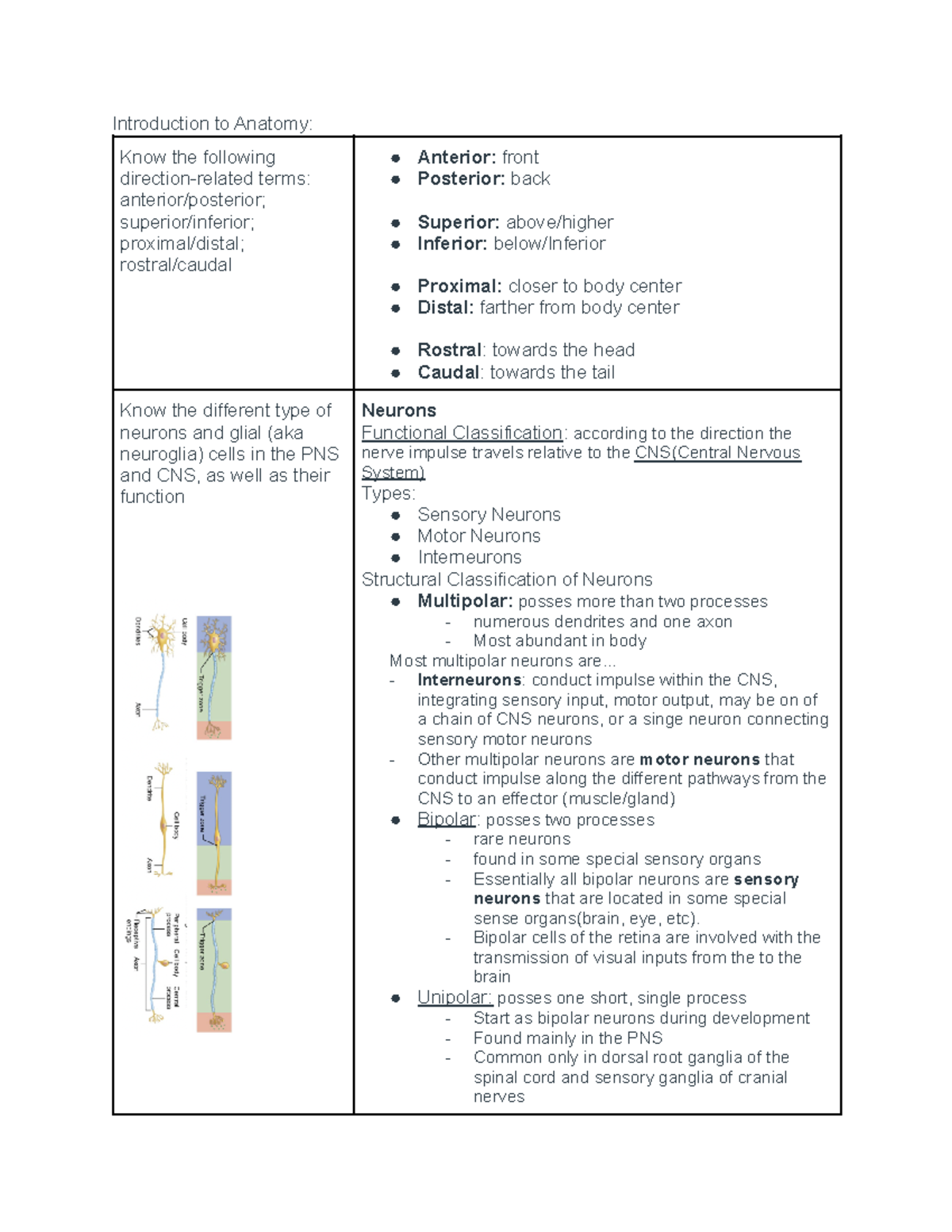 Anatomy Block 1 Study Guide - Introduction to Anatomy: Know the ...