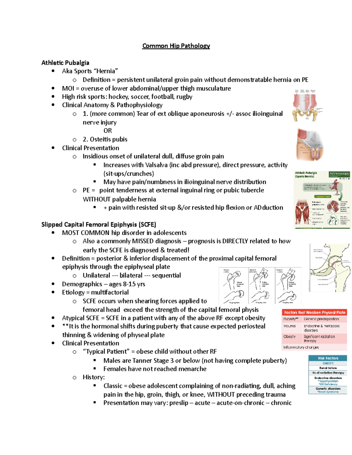 Common Hip Pathology - Common Hip Pathology Athletic Pubalgia Aka ...