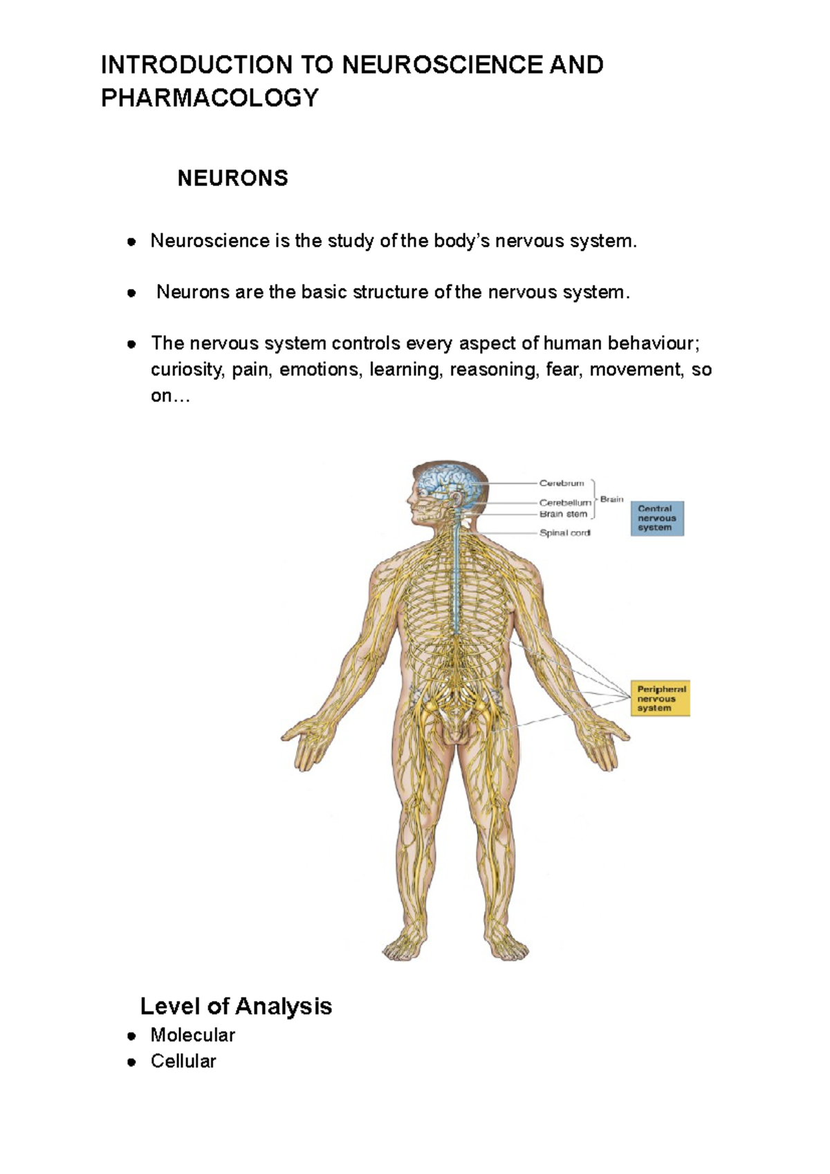 Introduction TO Neuroscience AND Pharmacology Notes - INTRODUCTION TO ...