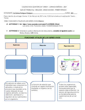 Articulo Condicionamiento Físico de los Gimnastas - Artículo sobre ...