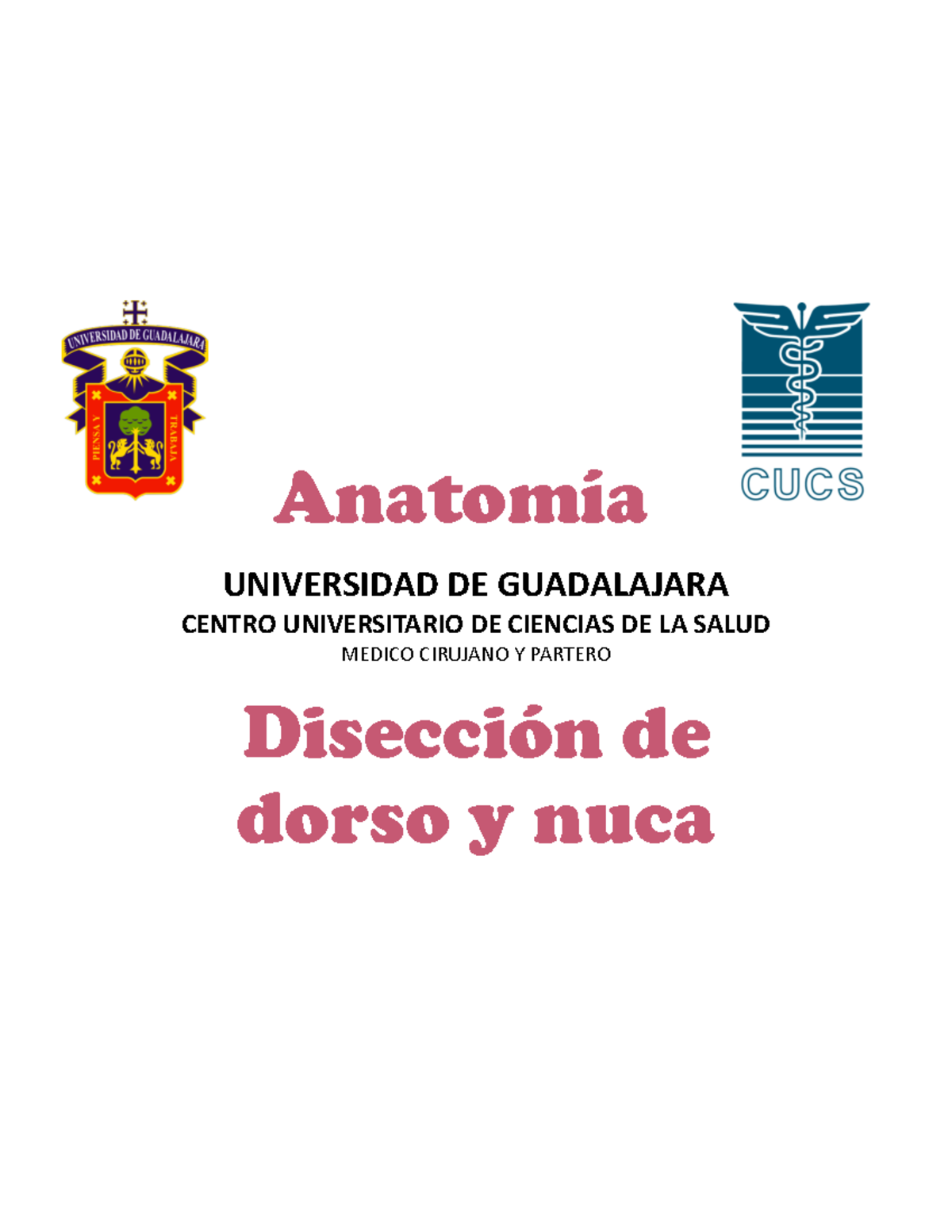 Disección de dorso y nuca - Anatomía UNIVERSIDAD DE GUADALAJARA CENTRO ...
