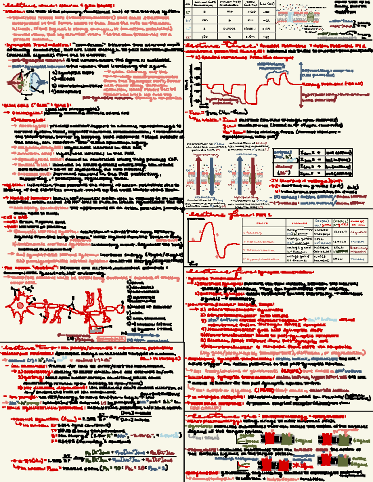 Neuro unit 1 crib sheet - lecture one : Neurou A (v() iC Eicn (mV) I ⑨ ...