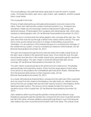 4-SZOL 121 example of exam paper - FACULTY OF SCIENCE AND AGRICULTURE ...