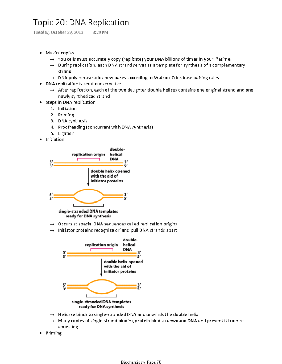 Biochem 2280 - Topic 20 Notes - → You cells must accurately copy ...