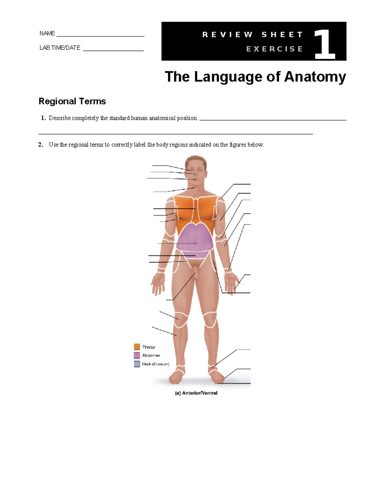 Ex 01 instructor guide - NAME _____________________________ LAB TIME/DATE ____________________ R ...