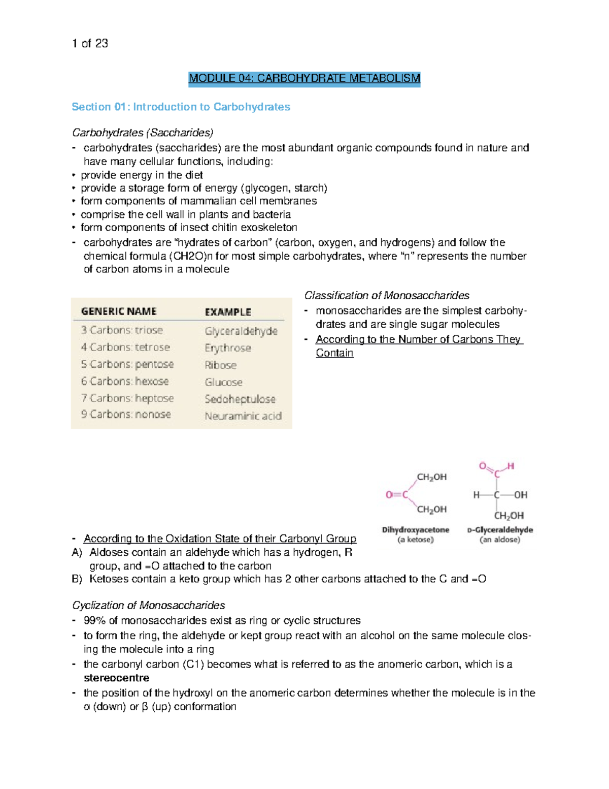 BCHM 270 Module 4 Notes - MODULE 04: CARBOHYDRATE METABOLISM Section 01 ...