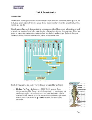 Endocrine System Lab Packet - Endocrine System Introduction: Part I ...