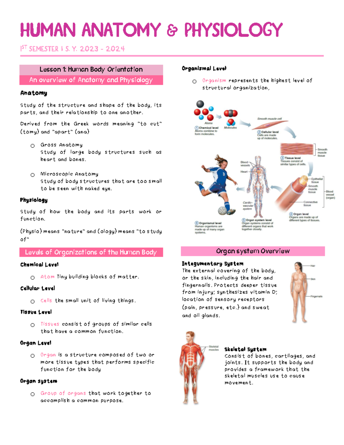 Trans - Human BODY Orientation - 1 st semester | s. y. 2023 - 2024 ...