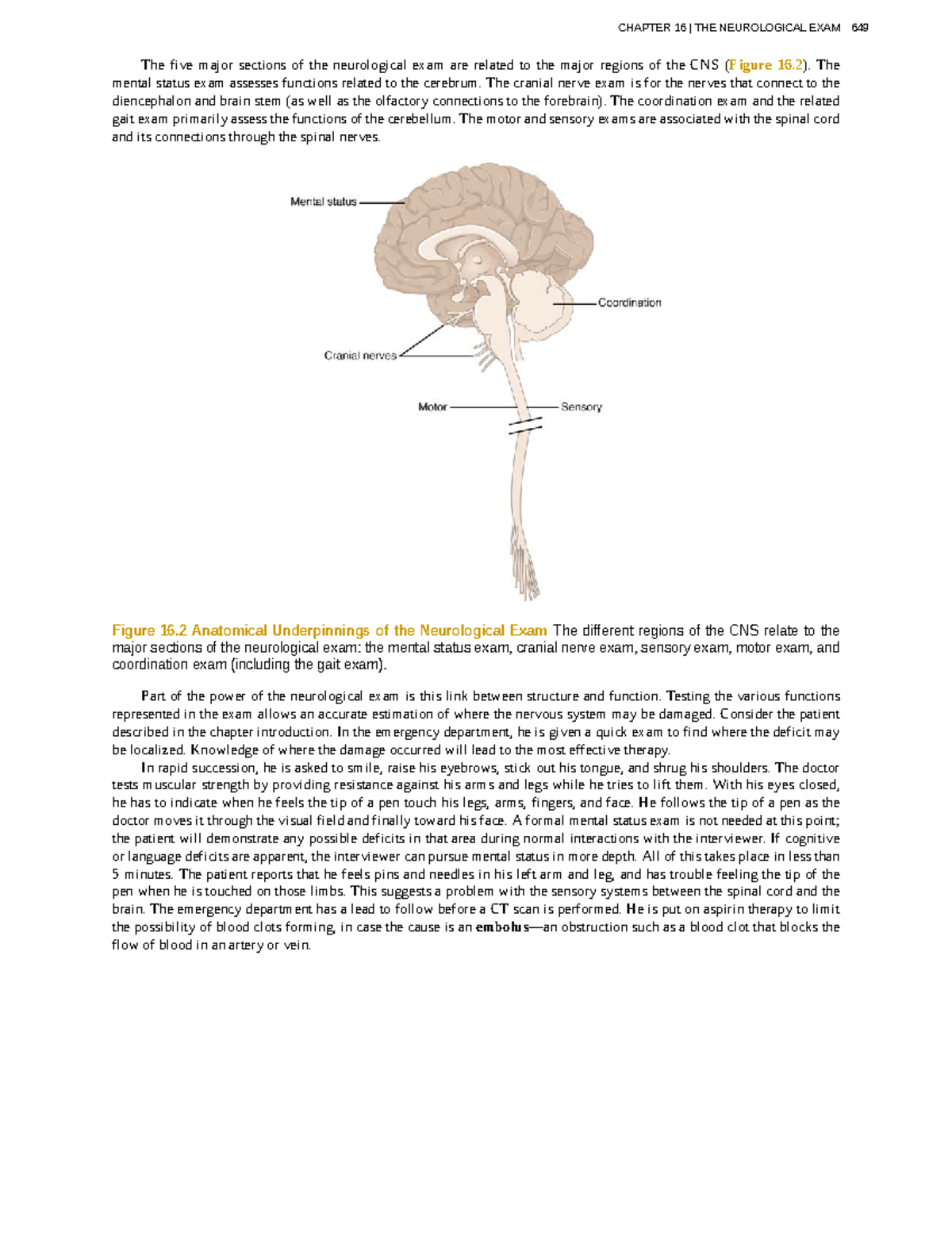 Ana Phy-196-200 - Anaphy Lectures Collection - The five major sections ...