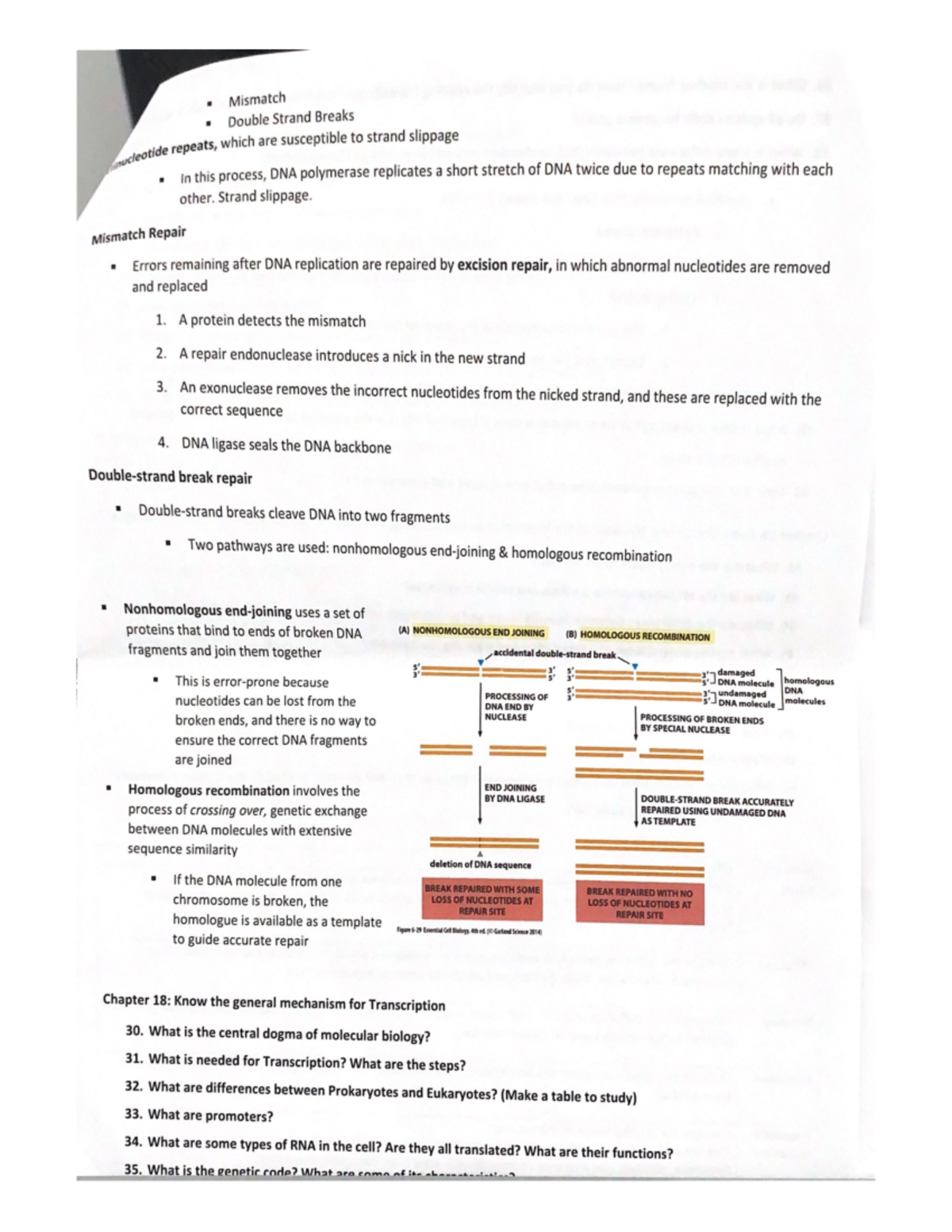 Errors During Replication - PCB 3023C - Studocu