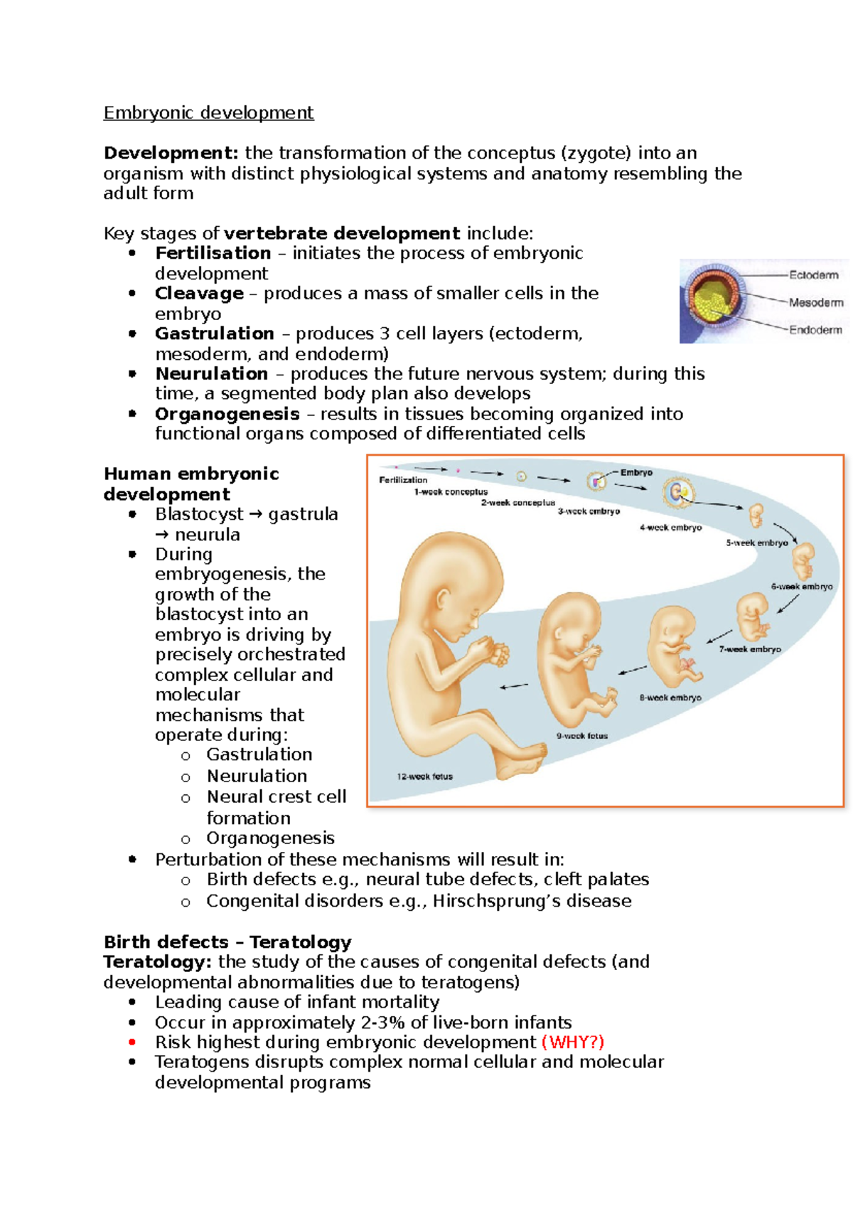 Embryonic development - Embryonic development Development: the transformation of the conceptus ...