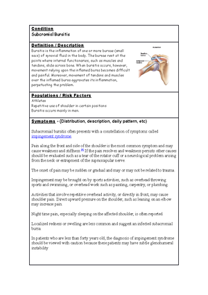 Shoulder and elbow Muscles and Movements - Shoulder Muscles and ...