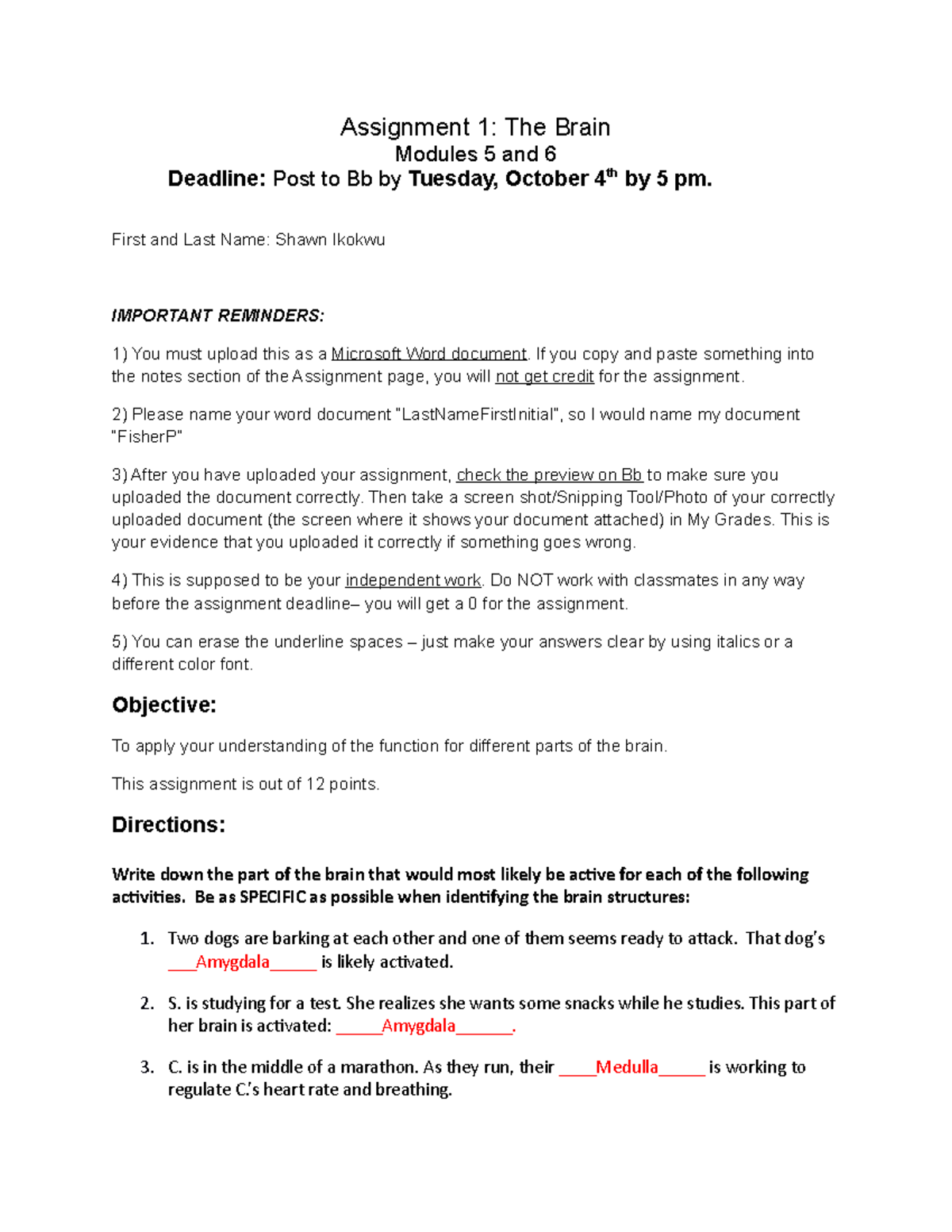 Assignment 1 (The Brain) F2022 Questions - Assignment 1: The Brain ...