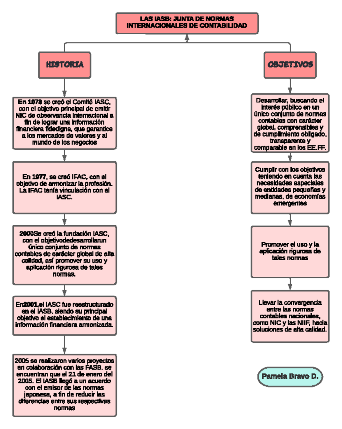 NIIF - IASB - mapa conceptual de las IASB - LAS IASB: JUNTA DE NORMAS ...