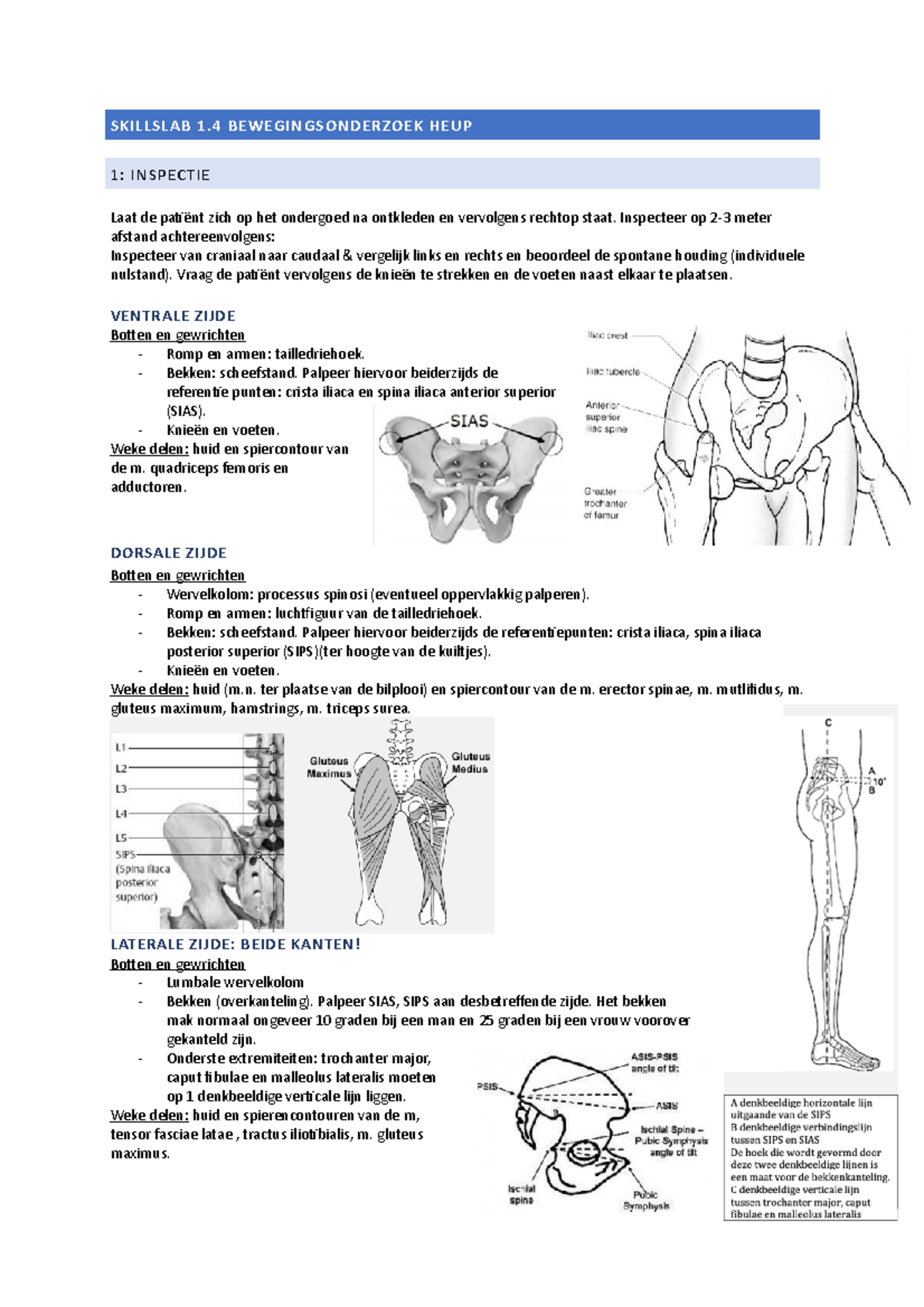 DFS heup - skillslab heup - SKILLSLAB 1 BEWEGINGSONDERZOEK HEUP 1 ...