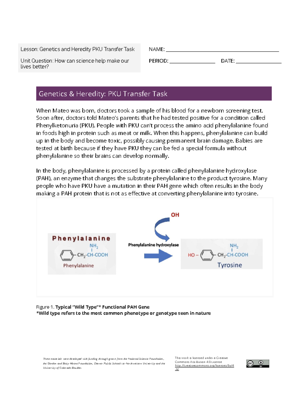 Assessment - PKU - Genetics - Lesson: Genetics and Heredity PKU Transfer Task NAME: - Studocu
