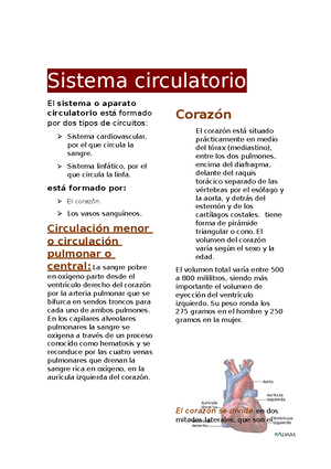 Colon, recto y ano - intestino grueso - Colon, recto y ano Embriología ...
