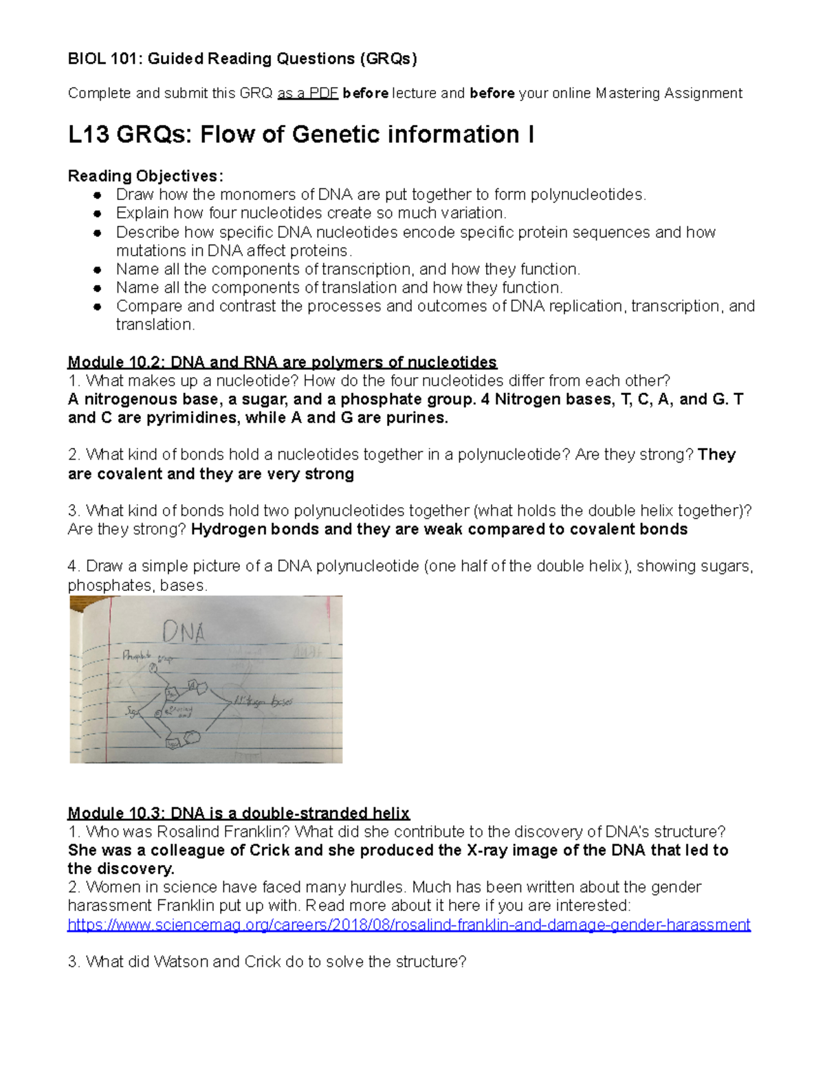 Lesson 13 GRQs Flow of Genetic information Part 1.docx - Complete and ...