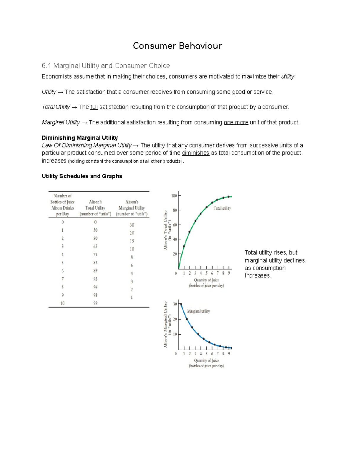 EC 120 Chapter 6 Notes - Consumer Behaviour 6 Marginal Utility and ...