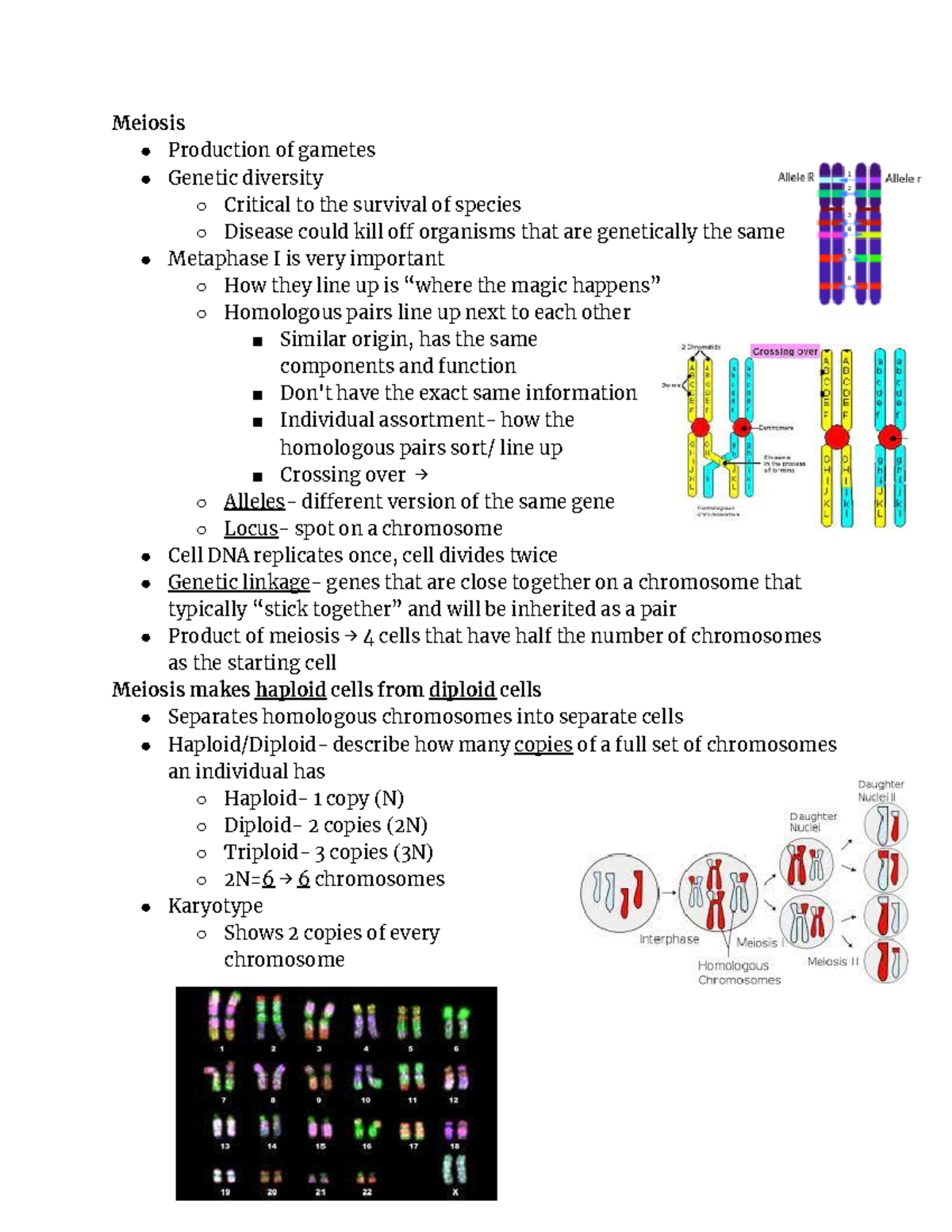 BISC 160 Final review sheet - Meiosis Production of gametes Genetic ...
