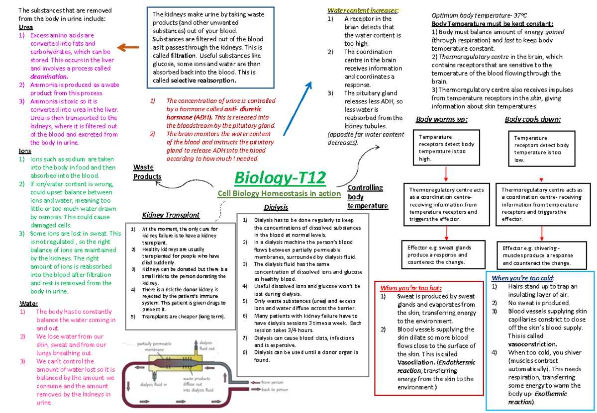 Biology mindmaps 2 - Biology-T ####### Cell Biology Homeostasis in ...