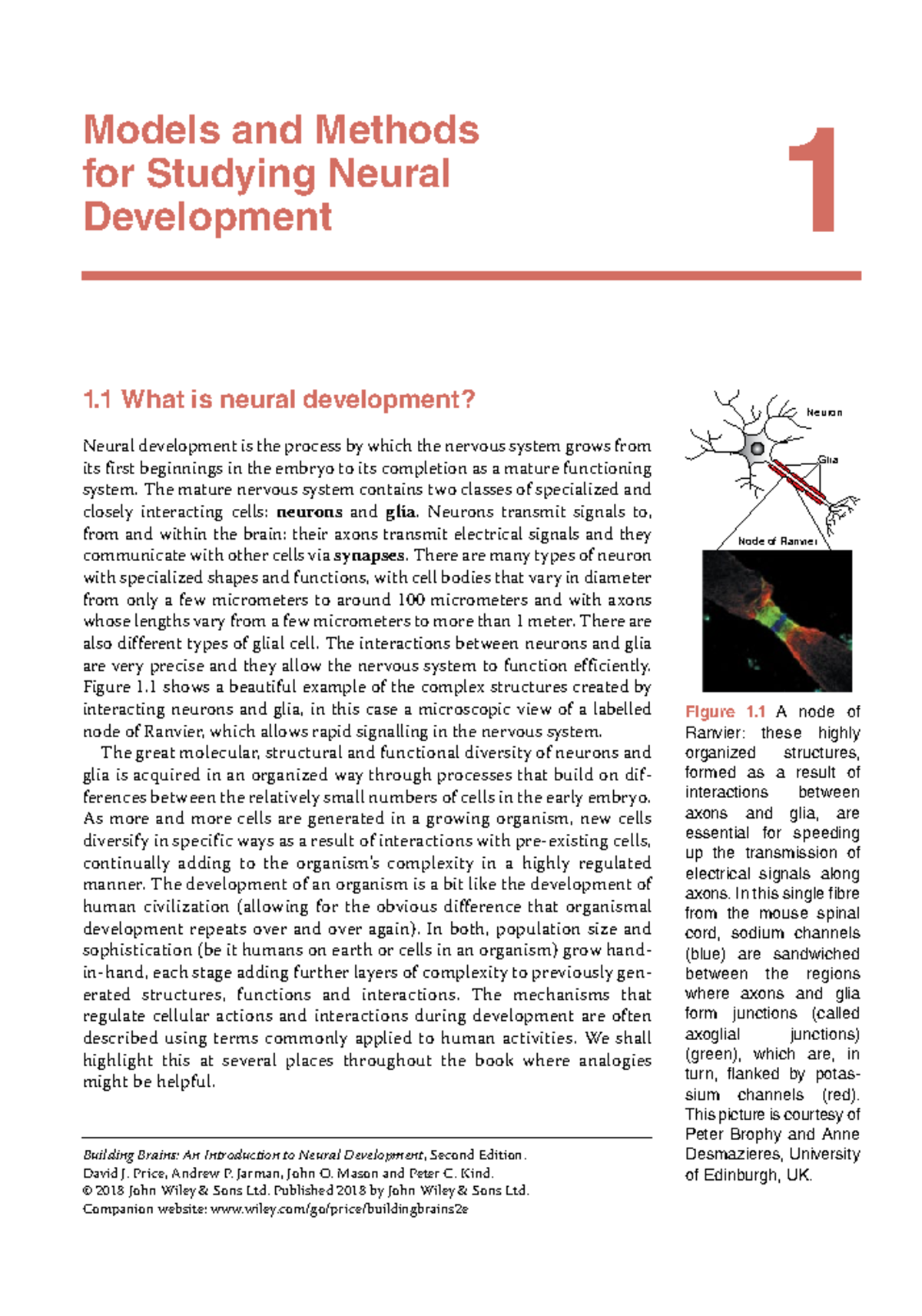 Ch1 - coursework - Building Brains: An Introduction to Neural Development, Second Edition. David ...