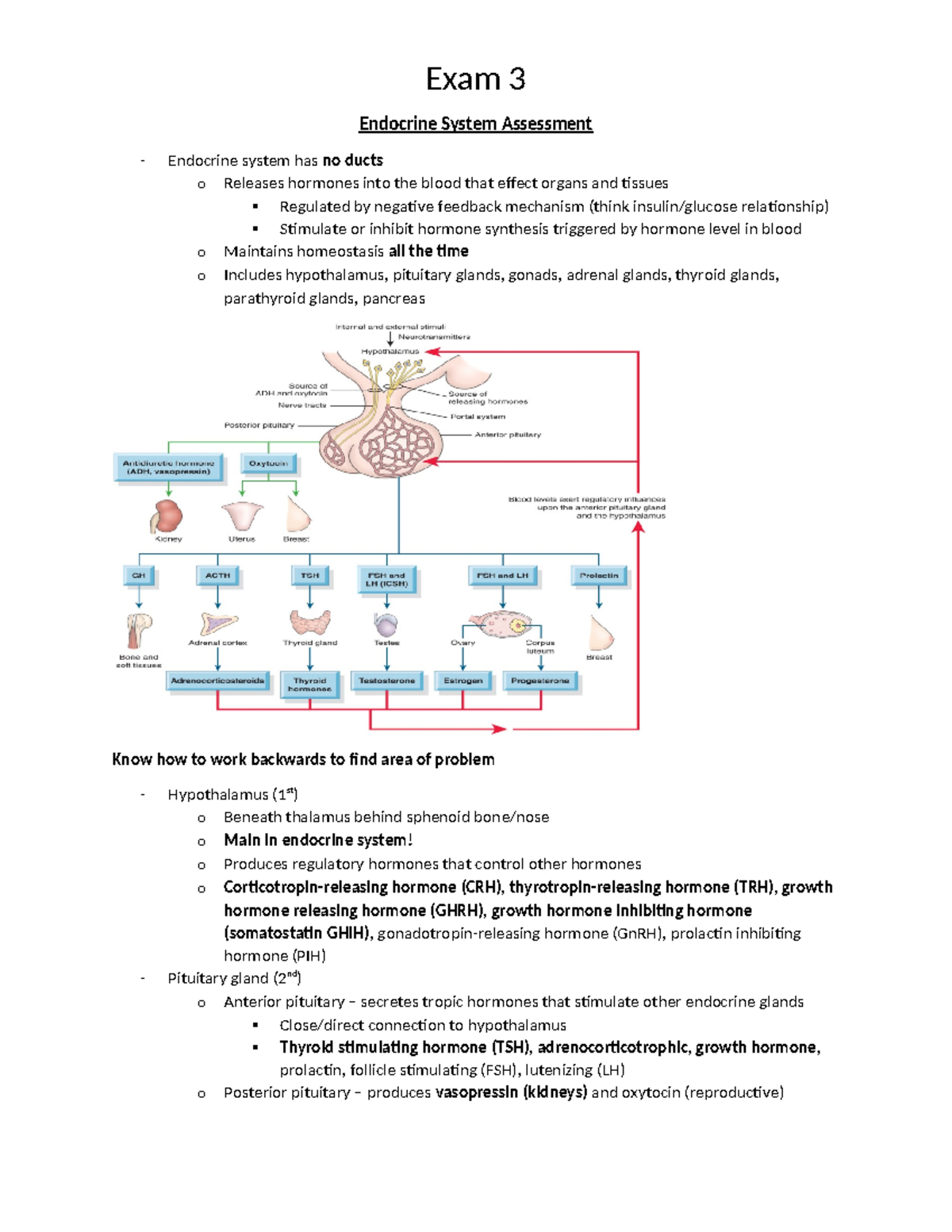 110 - Exam 3 Endocrine - Exam 3 Endocrine System Assessment Endocrine ...