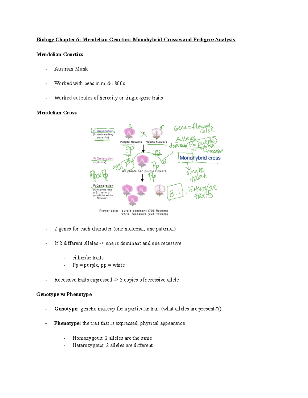 Biology Chapter 6 Mendelian Genetics Monohybrid Crosses and Pedigree ...