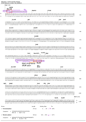 Lecture 10 - .......... - Molecular biology - Studocu