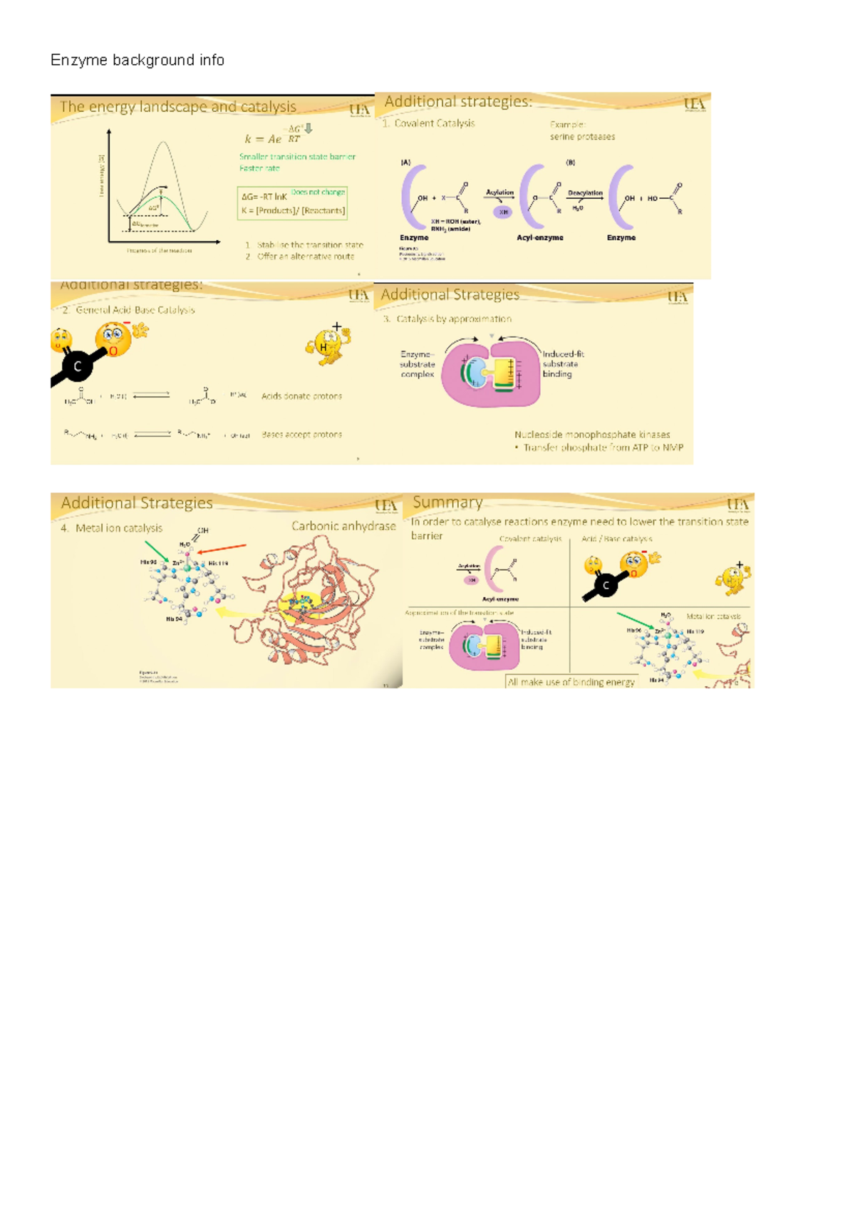 Enzyme background info - BIO-5002A - Studocu