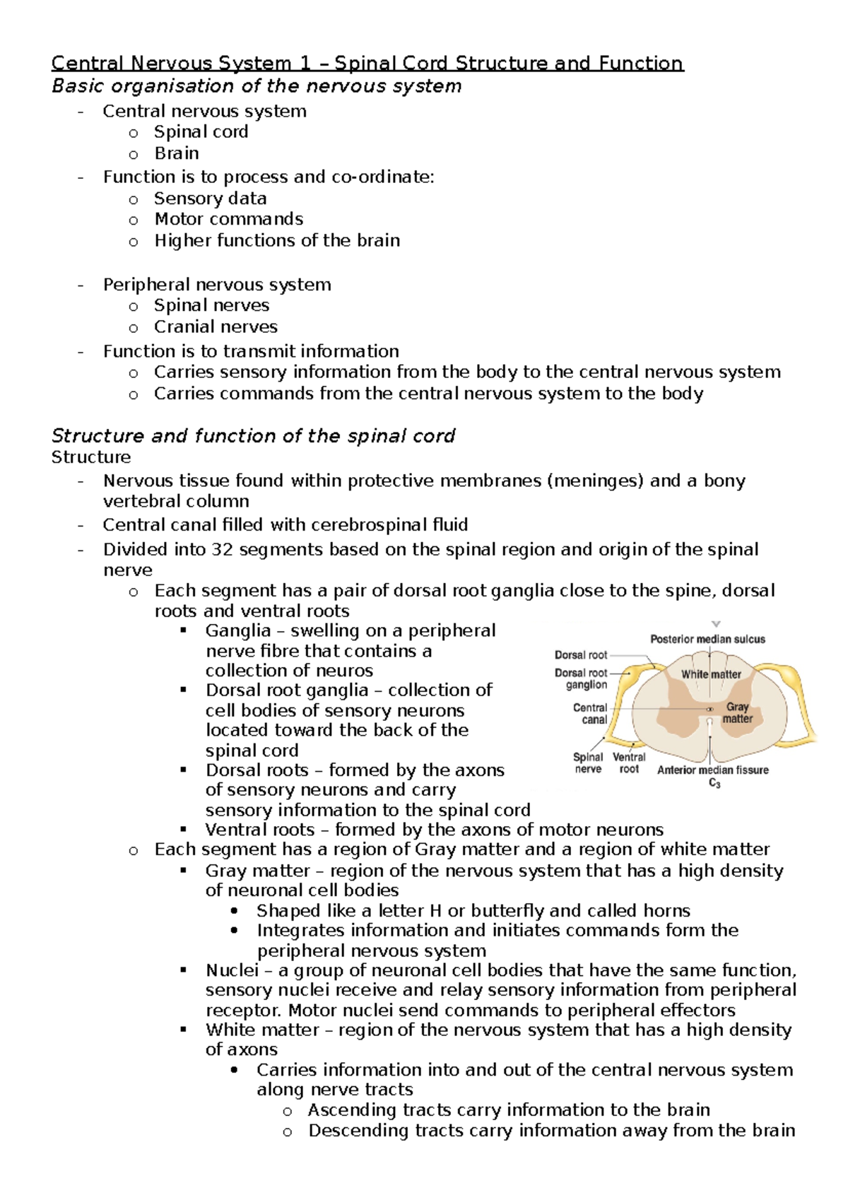 HP101 Week 1 - Notes for 101 week 1 - Central Nervous System 1 – Spinal ...