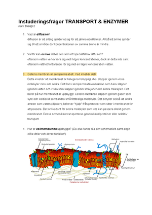 fosfors kretslopp - Fosfor är ett grundämne som ingår i kvävegruppen ...