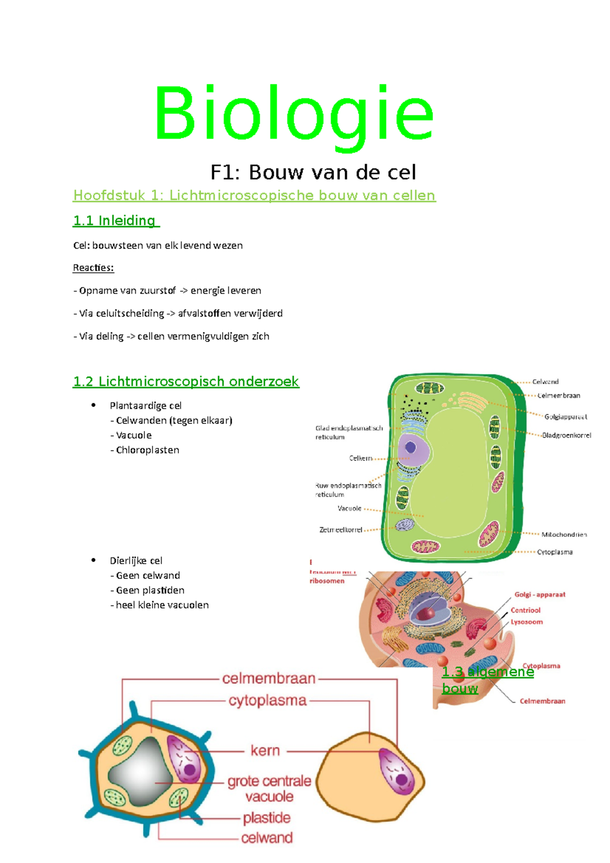SV Biologie F1 5WEWI - Biologie Hoofdstuk 1: Lichtmicroscopische bouw ...