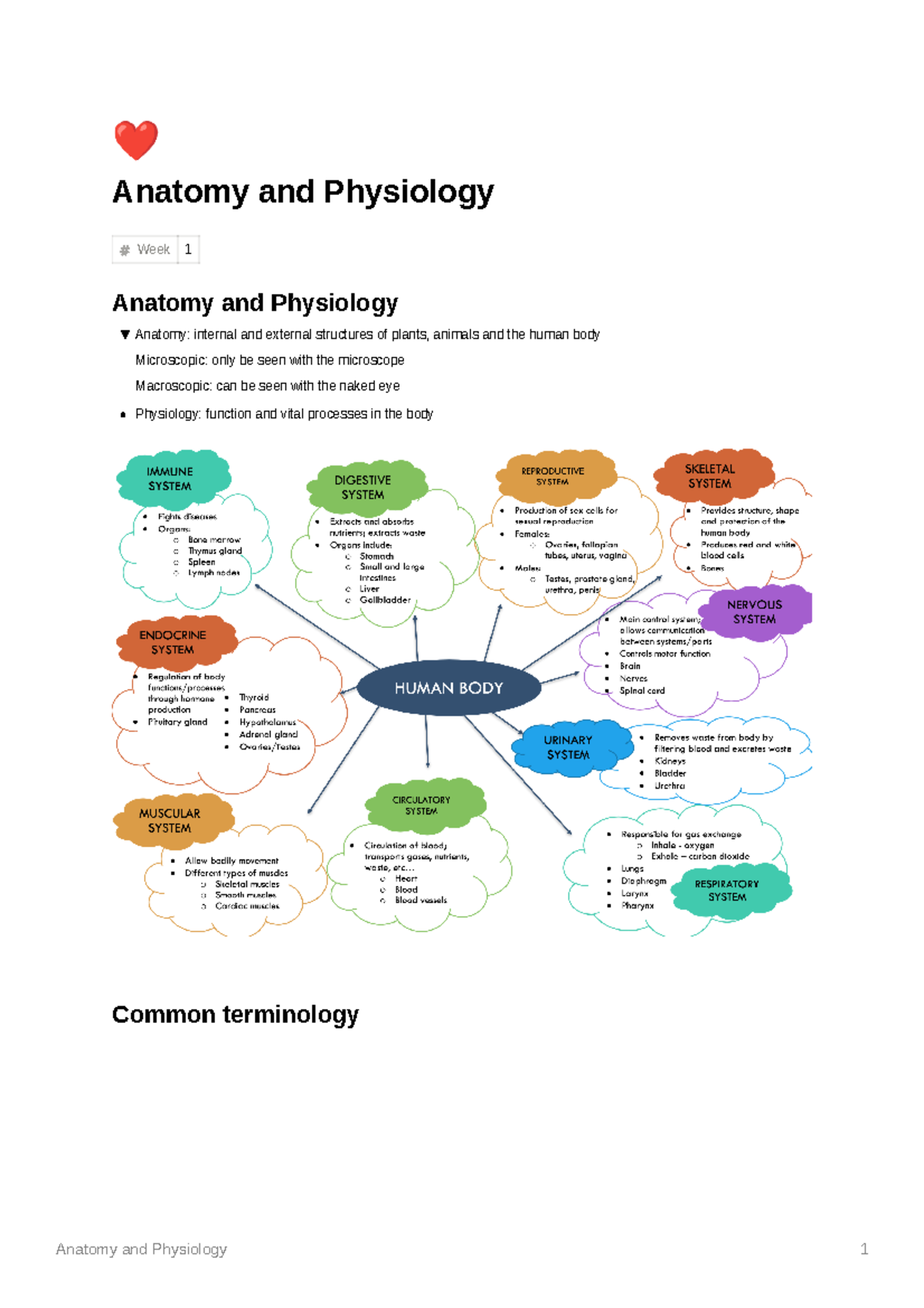 Anatomy and Physiology - Anatomy and Physiology Week 1 Anatomy and ...