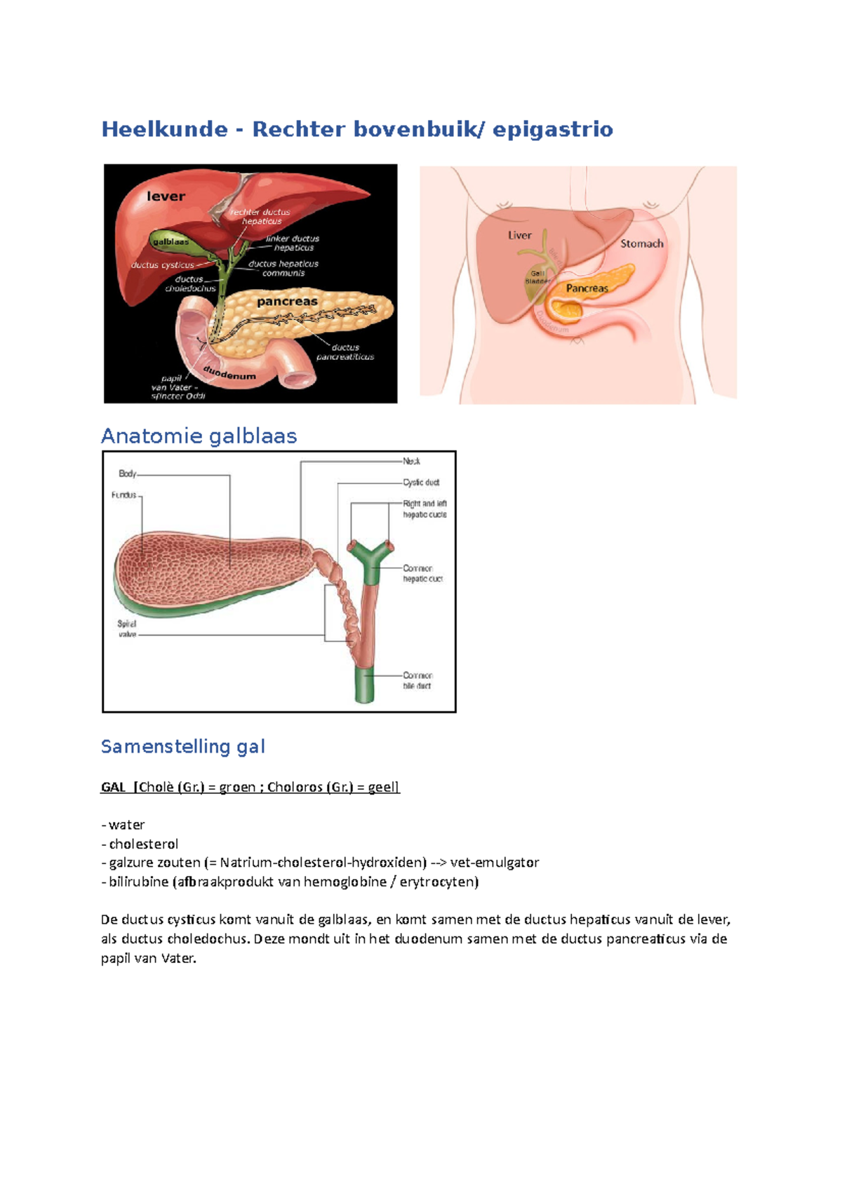 Heelkunde pancreas en galstenen - Heelkunde - Rechter bovenbuik ...