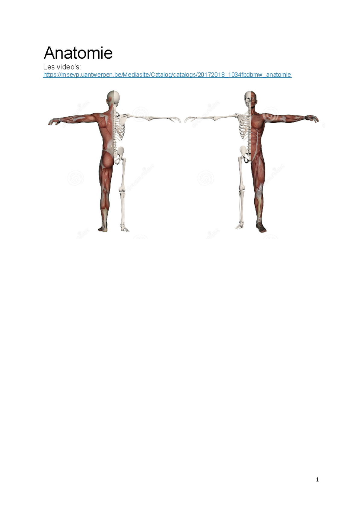 Samenvatting anatomie I - Anatomie Les 1 Algemene anatomie ...