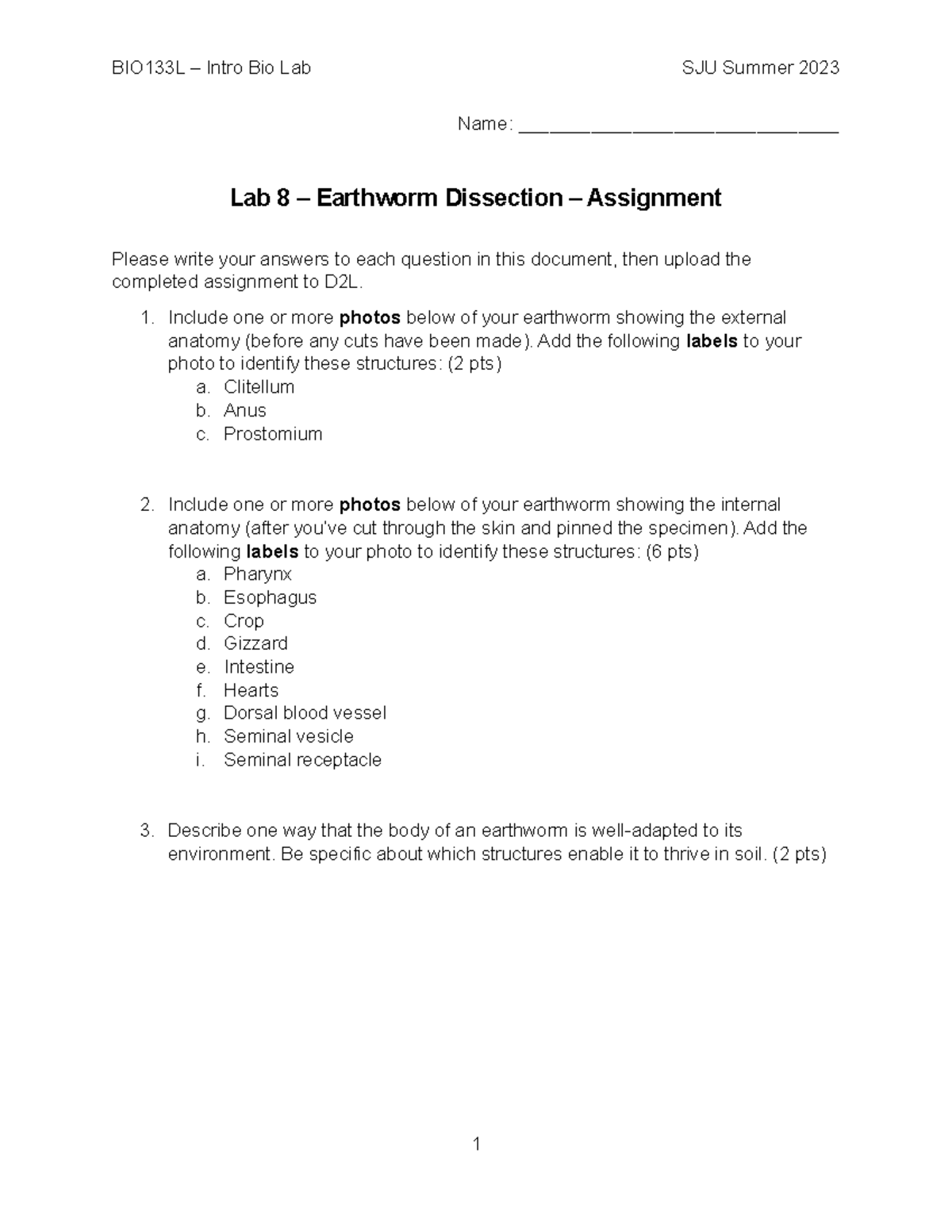 Lab 8 - Earthworm Dissection assignment - BIO133L – Intro Bio Lab SJU ...