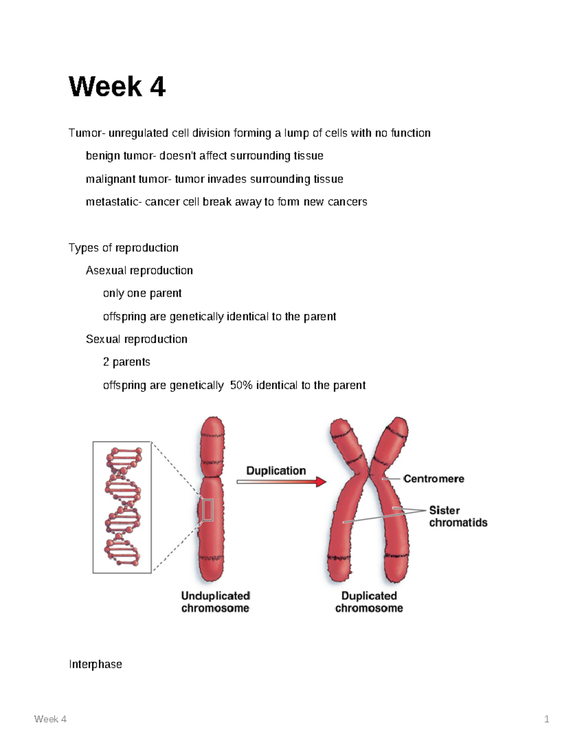 D8a8d0ec-48e3-4aff-b709-04688295 c71c Week 4 - Week 4 1 Week 4 Tumor ...