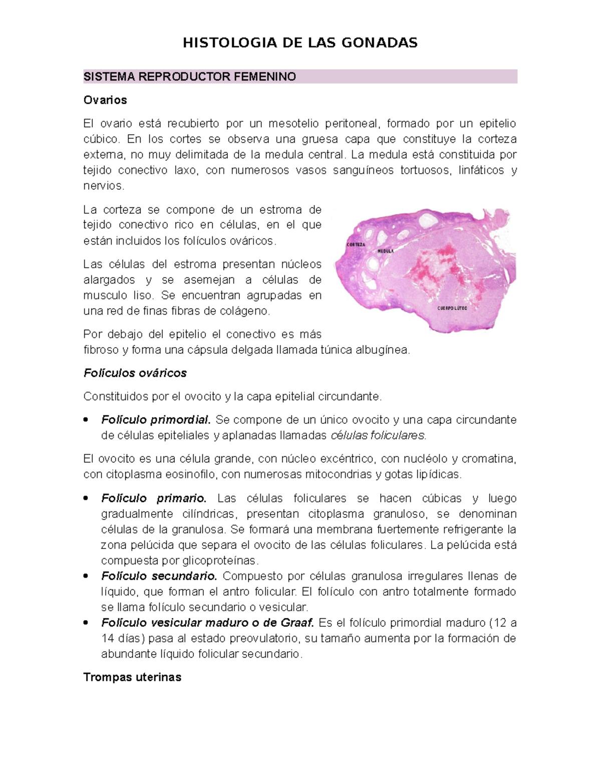 Histologia de las Gonadas - HISTOLOGIA DE LAS GONADAS SISTEMA ...