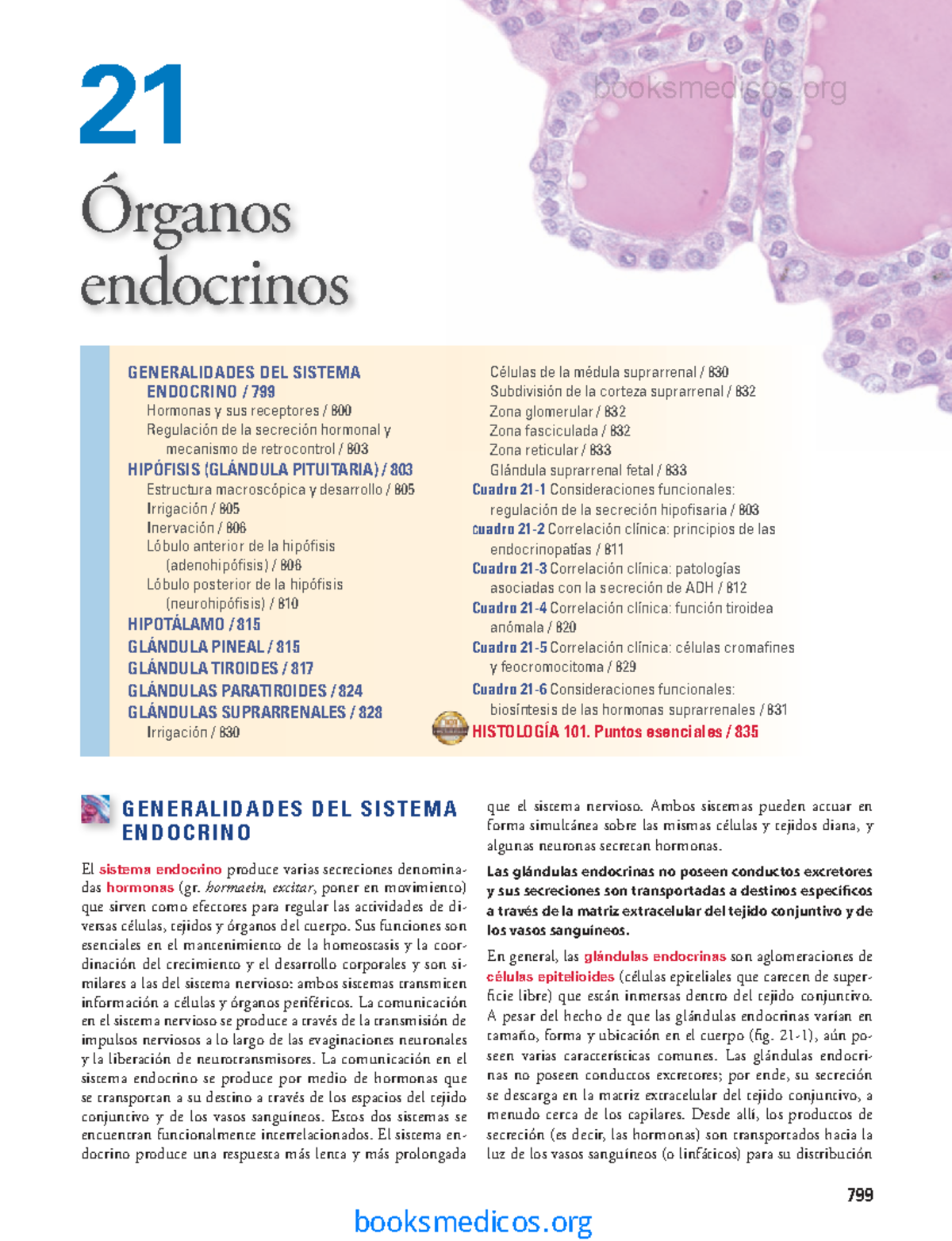 Histologia CAP 21 Corto - 799 Órganos endocrinos 21 GENERALIDADES DEL ...