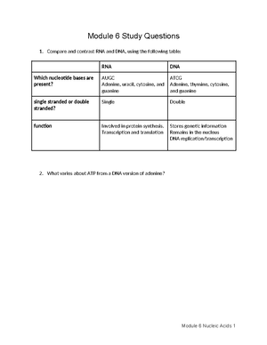 Module 3 Study Questions - Module 3 Study Questions 1. Complete the ...