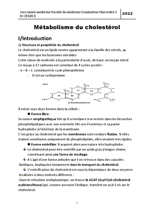 Bioch 1an-polyholosides - cours de médecine générale - Studocu