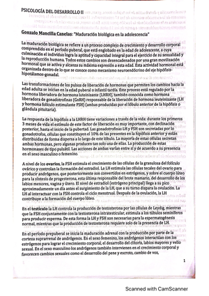 Act 4 - Psicología del Desarrollo II - Facultad de Ciencias Psicológicas. Lic. En Psicopedagogía ...