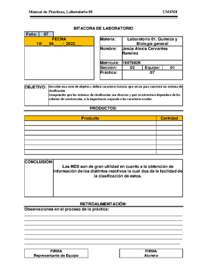 Bitacora 08 - tareas laboratorio - Manual de Practicas, Laboratorio 01 UMSNH BITACORA DE ...
