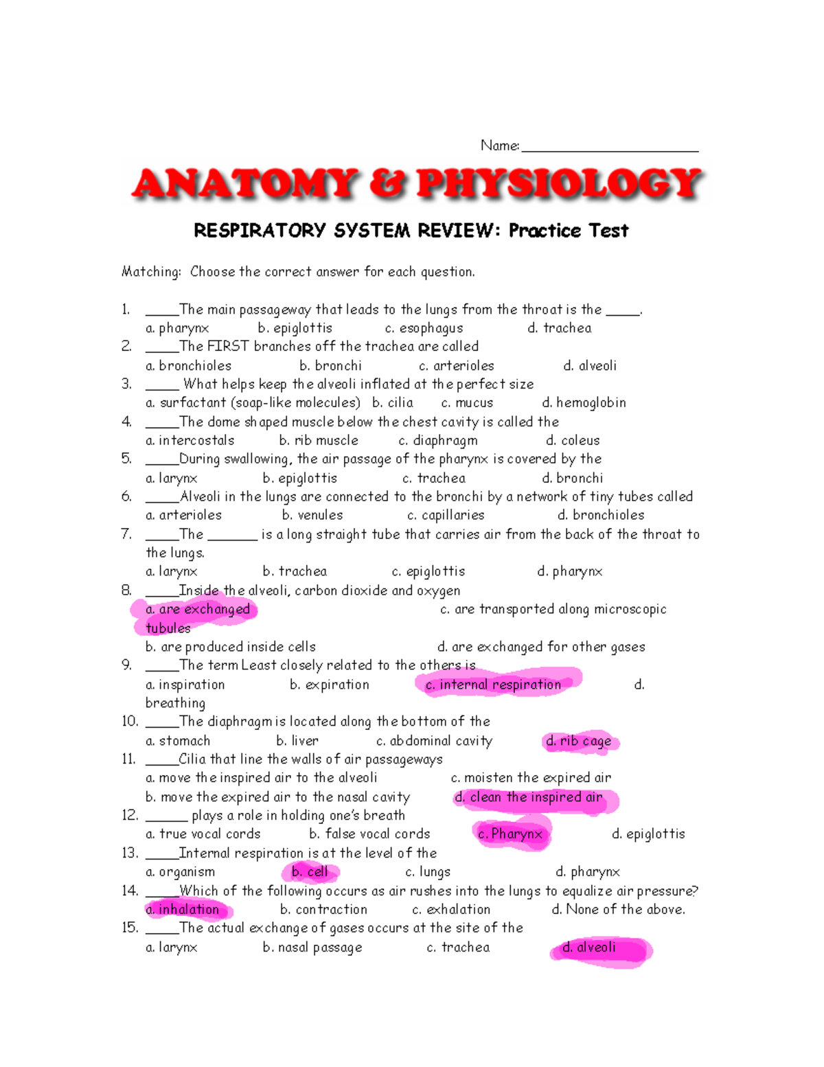Respiratory System Review Practice Test - Name ...