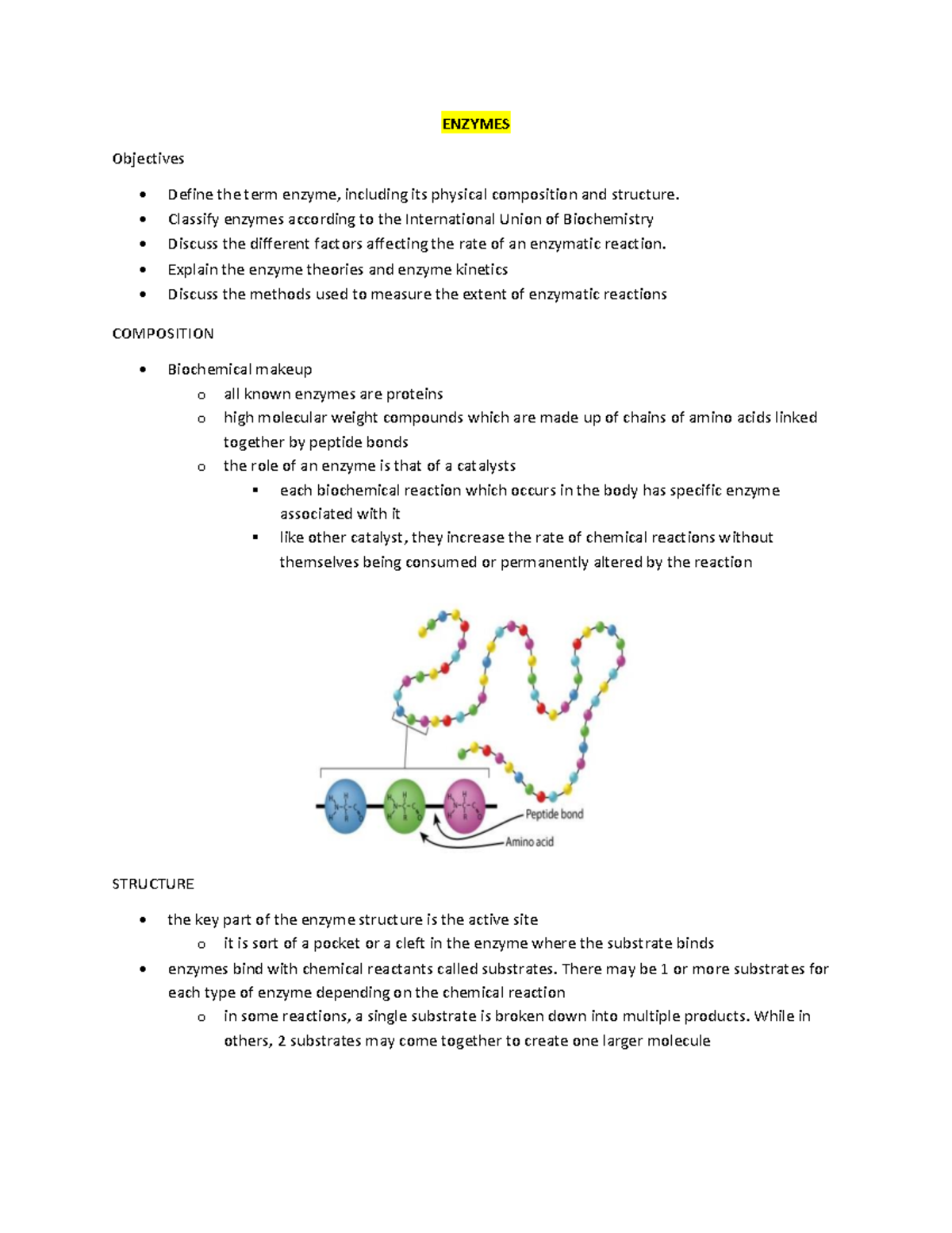 Prelim-CC2 - Practice Questions - ENZYMES Objectives Define the term ...