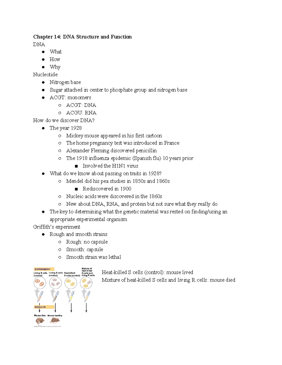 BIO101 Exam 4 Study Guide - Chapter 14: DNA Structure and Function DNA ...