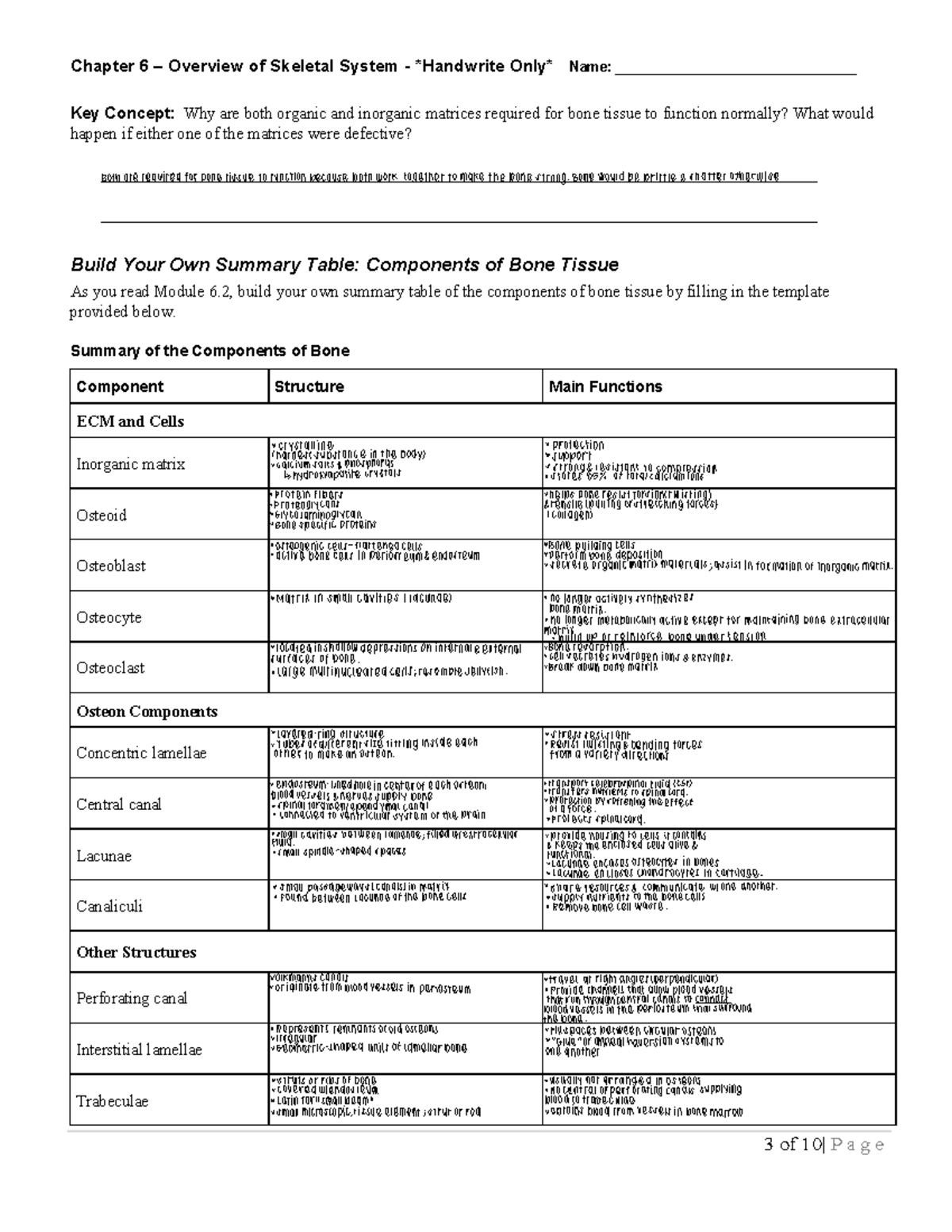 Chapter 6 Bones and Bone Tissue - Chapter 6 – Overview of Skeletal ...